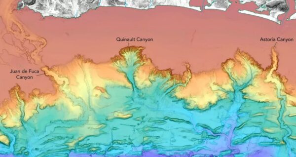 950 Earthquakes Have Hit Puerto Rico This Year — Optimum Seismic